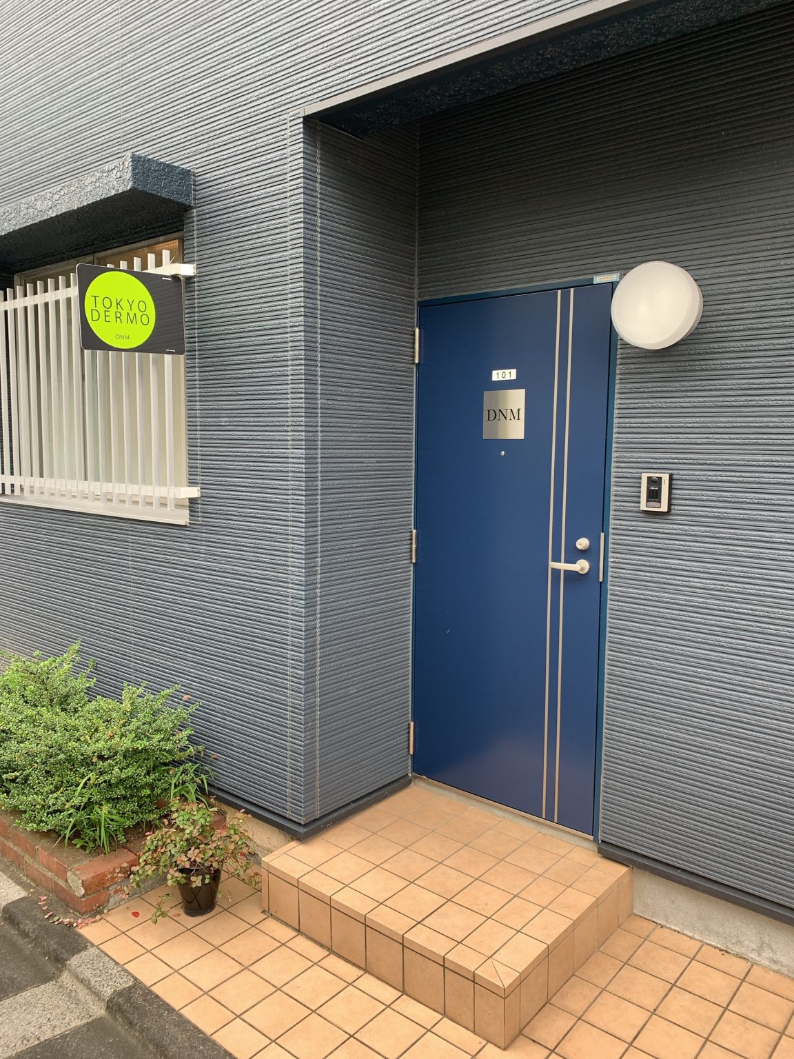 鍼灸師がDNMを勉強した話 (後編) - 半田市のグリーンノア鍼灸院